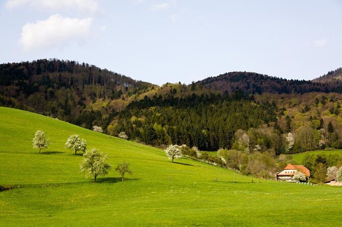 Black Forest Day Tour - FAQs