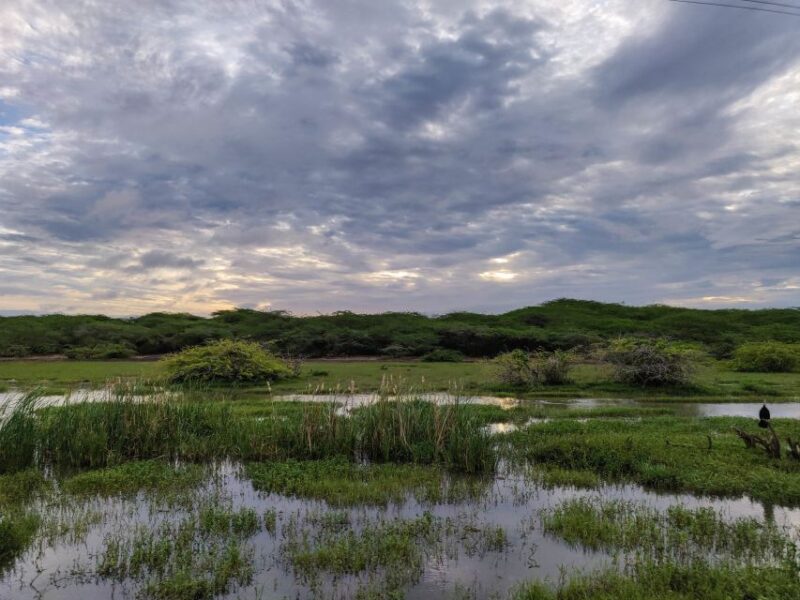 Bundala National Park: 3-Hour Morning or Evening Safari - FAQ