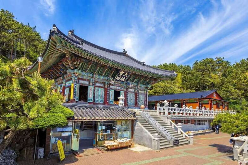 Busan: Full-Day City Tour with Taejongdae, Gamcheon & More - Final Thoughts