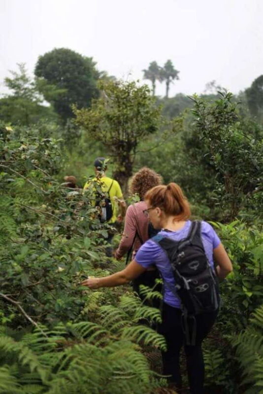 Cao Bang: 2 Day - Visit Ban Gioc Waterfall & Local Village - FAQ