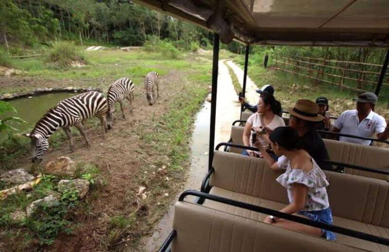 Cebu:Cebu Safari Adventure Park Day Trip - FAQ