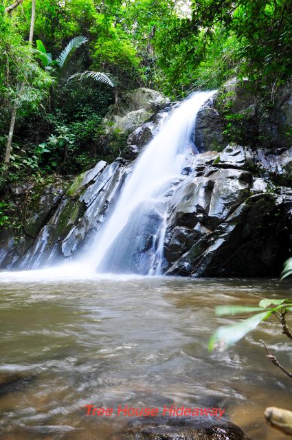 Chiang Mai: Tree House Stay & Jungle Zip-Lining - The Sum Up: Is It Worth It?