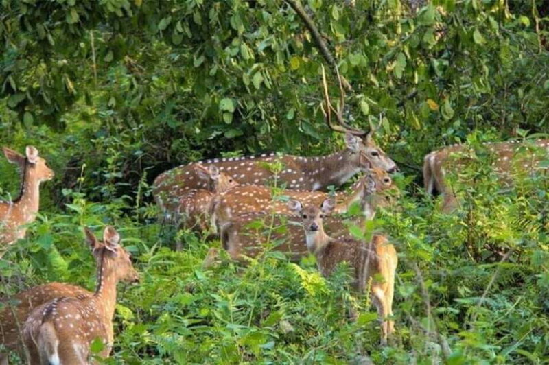 Chitwan National Park Tour - FAQ