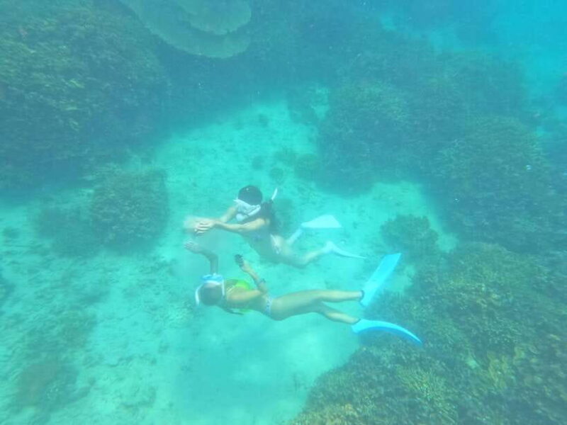 Coron: Dugong Watching with Sea Turtle and Coral Garden tour - The Sum Up