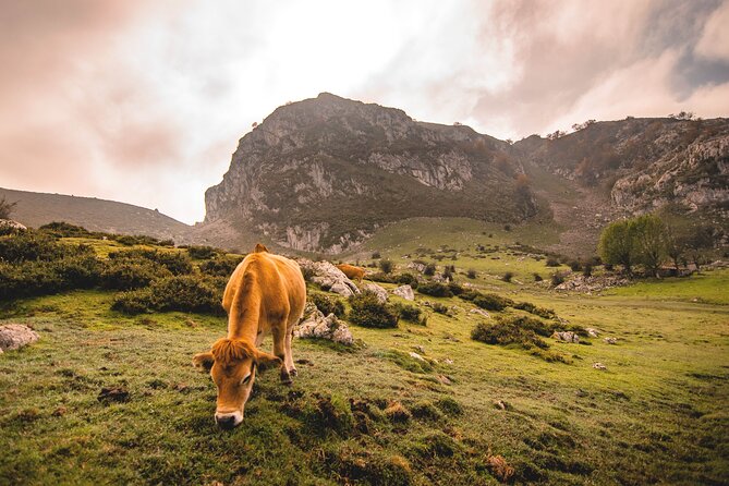 Covadonga Lakes, Sanctuary and Cangas de Onís from Santander - FAQ