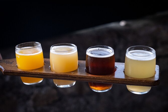 Craft Beer & Food Tour in Porto - Who Should Consider This Experience?