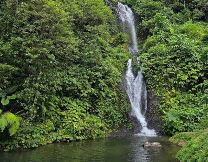 day trip bali: ulundanu,handara gate,banyumala waterfalls - Frequently Asked Questions
