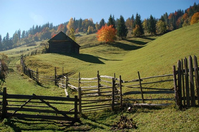 Day trip on Quad ATV - Transylvanian outdoor adventure - Who Should Book This Tour?