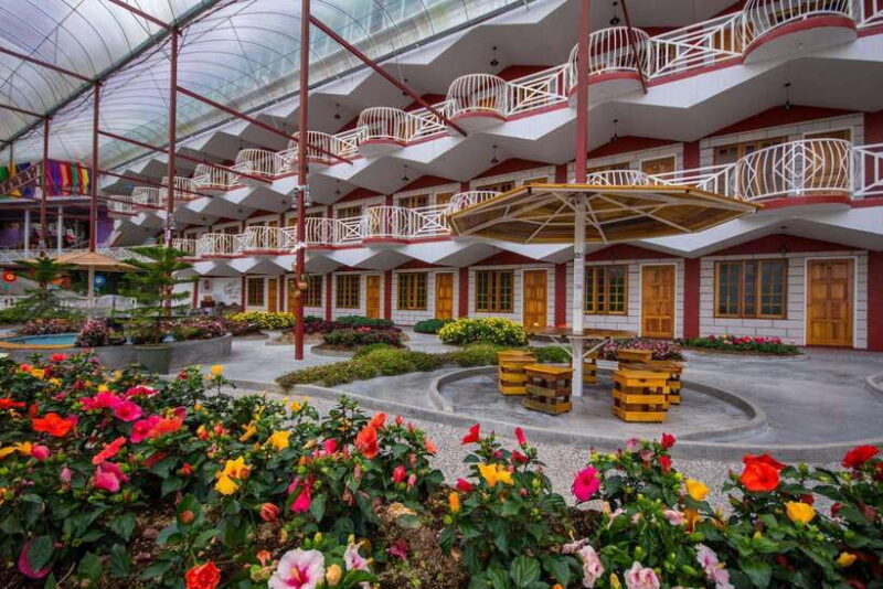 Day Trip to Cameron Highlands - FAQ