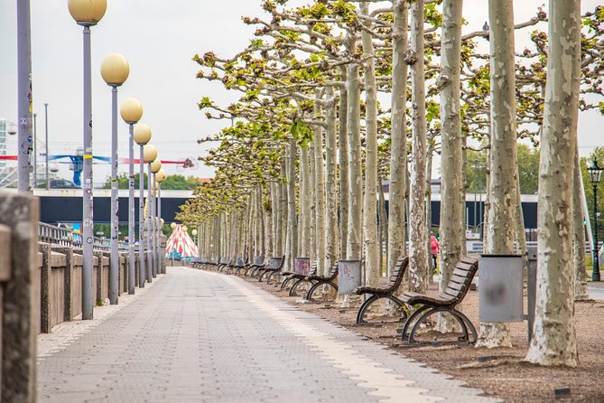 Discover Dusseldorfs most Photogenic Spots with a Local - Who Should Consider This Tour?