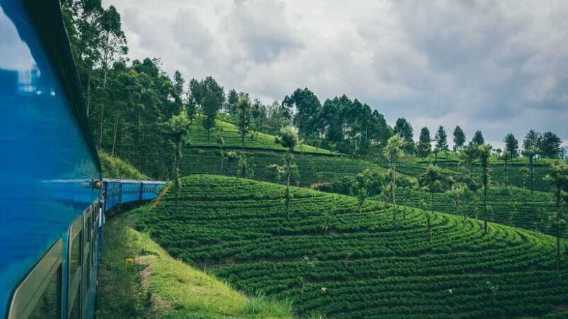Ella: First Class Scenic Train Ticket To/From Nanuoya - FAQ