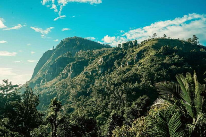 Ella: Guided Day Tour with Tea Estate Visit - Value for Money