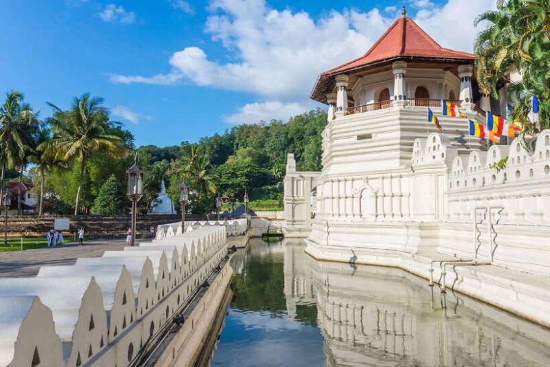 From Colombo: Pinnawala & Tea factory with Kandy Hotel Drop - Final Word