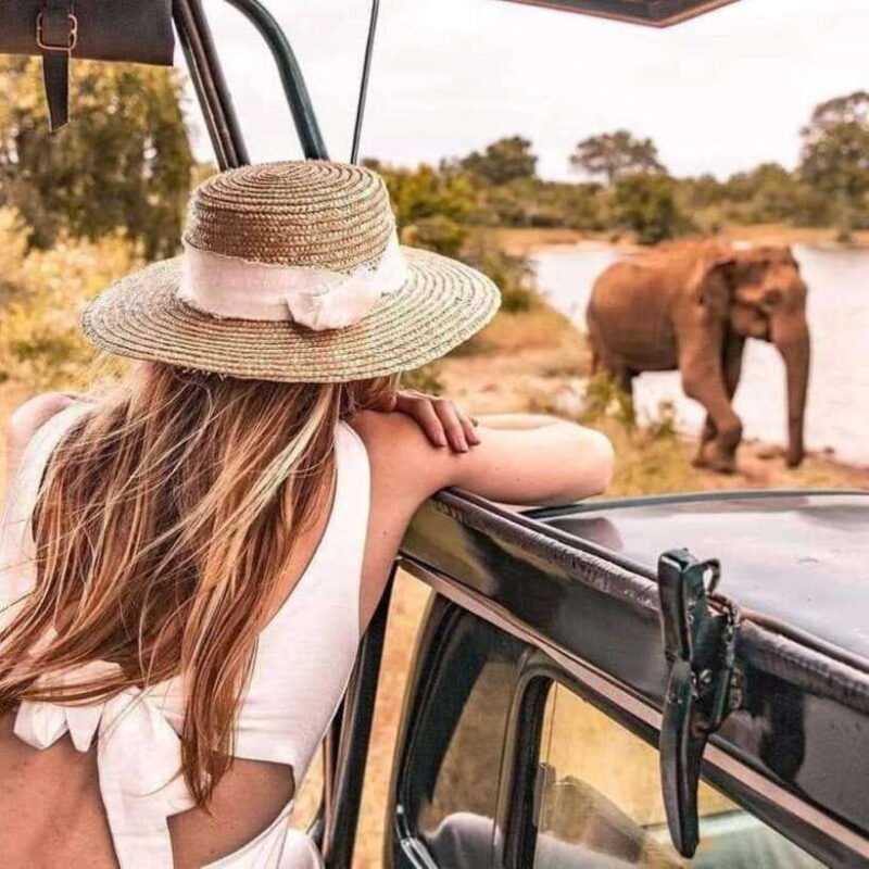 From Ella: Udawalawa Safari Drop: Galle / Mirissa / Tangalle - Frequently Asked Questions