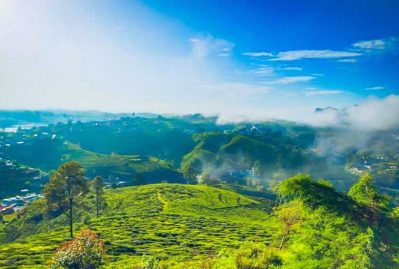 From Kandy: All Inclusive Nuwara Eliya Day Tour with Lunch - Practical Tips