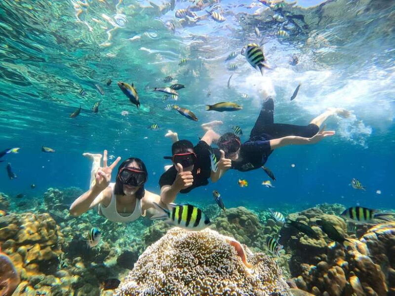 Gili Islands: Private Snorkeling Boat Tour with Local Guide - FAQ