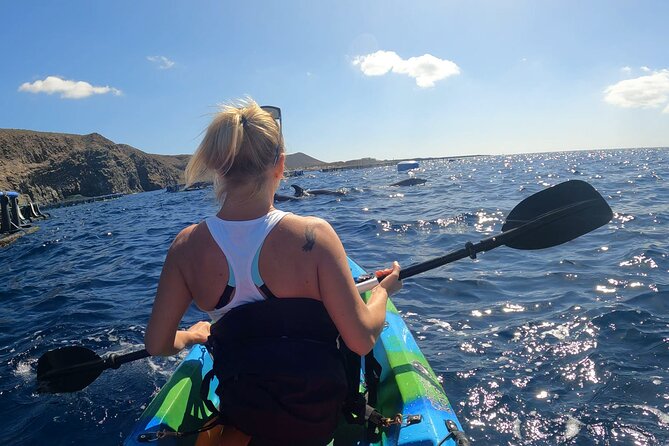 Guided Kayak Tour From Los Cristianos Beach Tenerife - Practical Tips for Participants