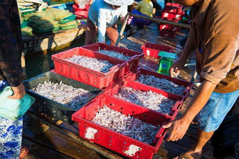 Half-day Hoi An Scenic River Cruise And Village Exploration - FAQ