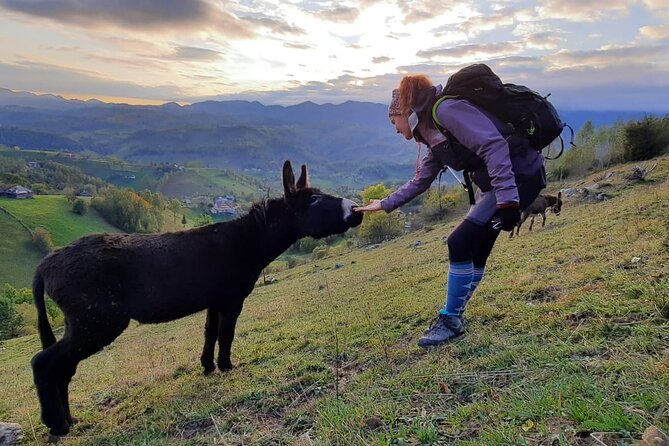 Hiking thought the best mountain villages in Romania-Private tour from Brasov - Final Thoughts: Is This Tour Right for You?