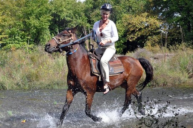 Horse Riding From Kusadasi Port / Hotels - FAQ