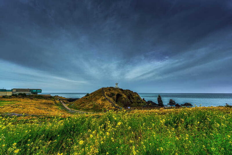 Jeju Island Day Tour for Cruise Ship Passengers - Final Thoughts