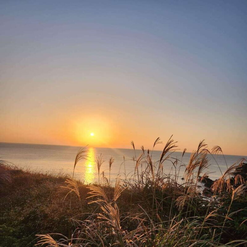 JEJU ISLAND : Higlights SUNRISE guided Tour - Final Thoughts