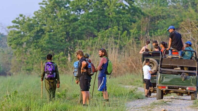 Kathmandu/Pokhara: 3 Day Chitwan Jungle Safari Tour - FAQ: Your Practical Questions Answered