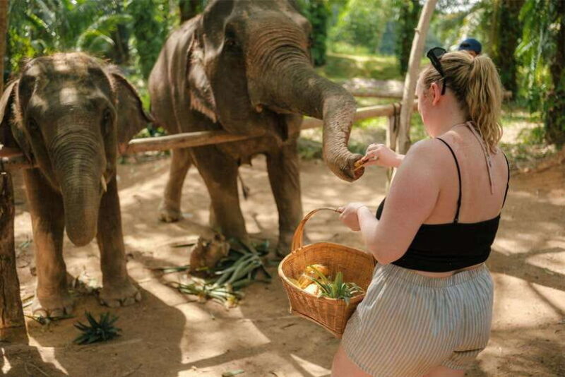 Krabi: Elephant Sanctuary (near Ao Nang) Visit - FAQ
