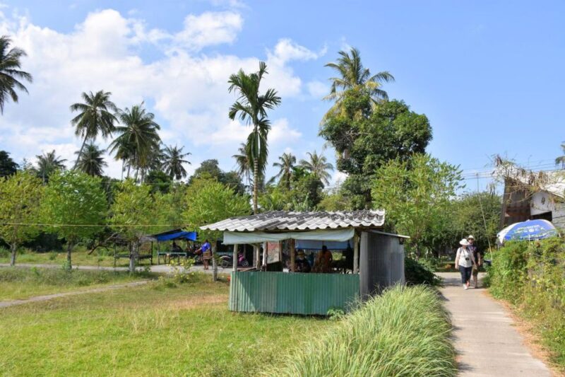 Krabi: Mangrove Magic & Koh Klang Charm by Longtail Boat - Final Thoughts