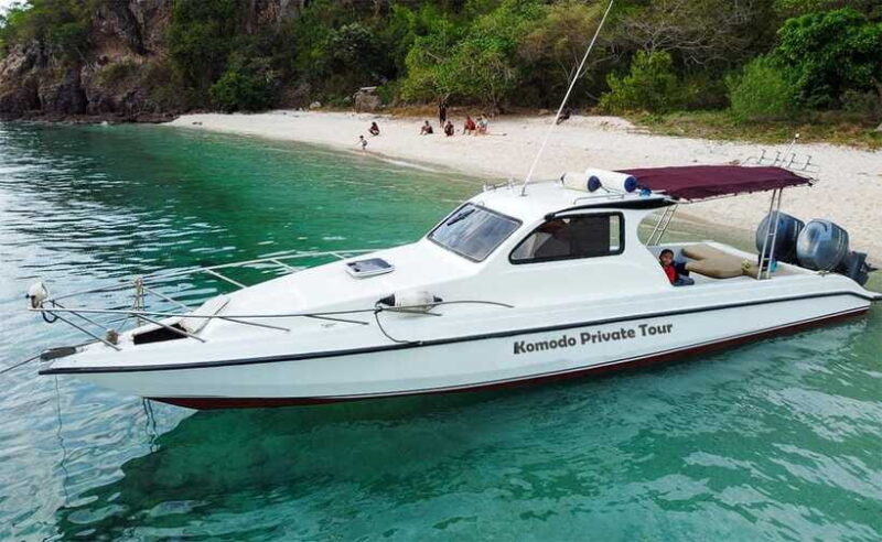 Labuan Bajo: Komodo Private Day Trip with Snorkeling - Practical Tips for the Journey
