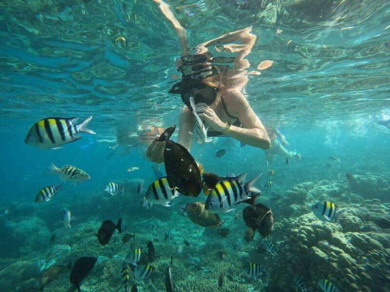 Lombok: Snorkeling to Gili Nanggu, Sudak & Kedis (Private) - FAQs