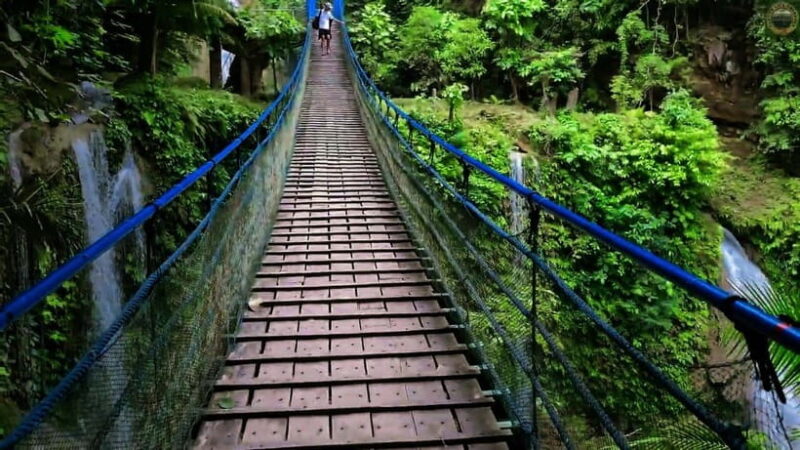 Mantayupan Falls & Moalboal: Snorkeling & Sardine Run Tour - Final Thoughts: Is It Right for You?