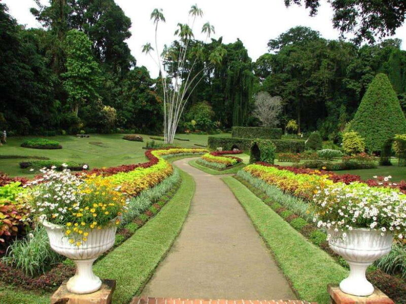 Memorable Tuk Tuk City Tour of Kandy - Who Will Love This Tour?