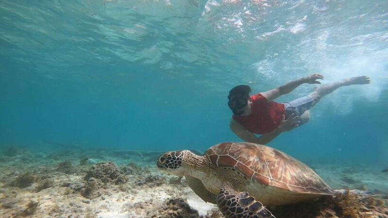 Moalboal: Island Hopping and Mantayupan Falls Day Trip - FAQs