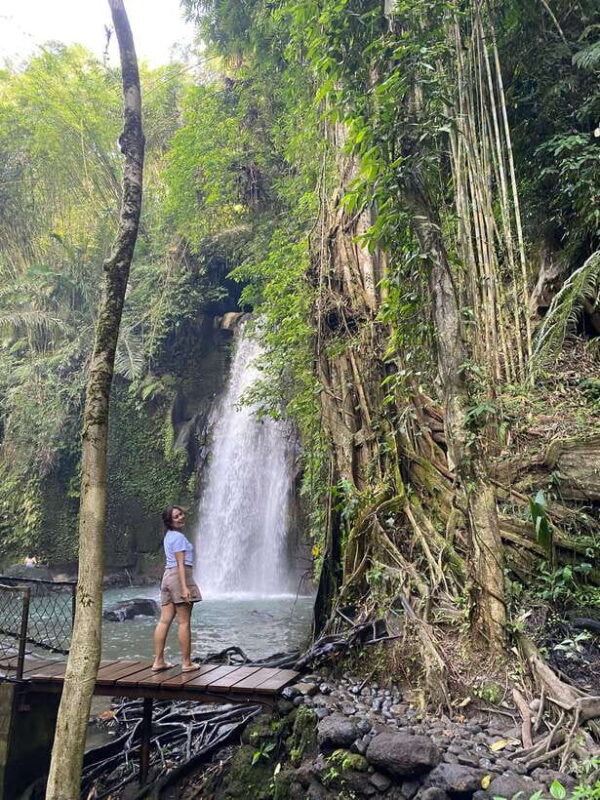Monkey Forest, Waterfall ,Temple and Rice Terrace - The Iconic Tegalalang Rice Terraces