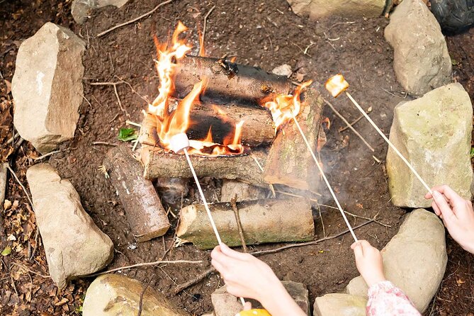 Muddy Tots Go Wild Forest School Ballynahinch County Down - The Sum Up