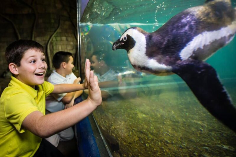New Orleans: Audubon Aquarium & Insectarium Ticket - Final Thoughts