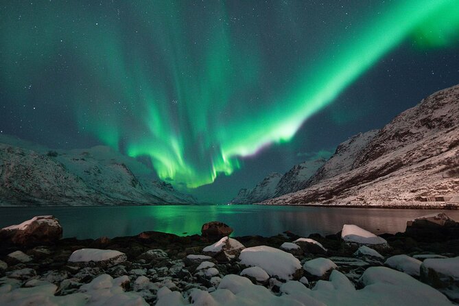 Northern Lights Tour with Local Guide and Photos - Key Points