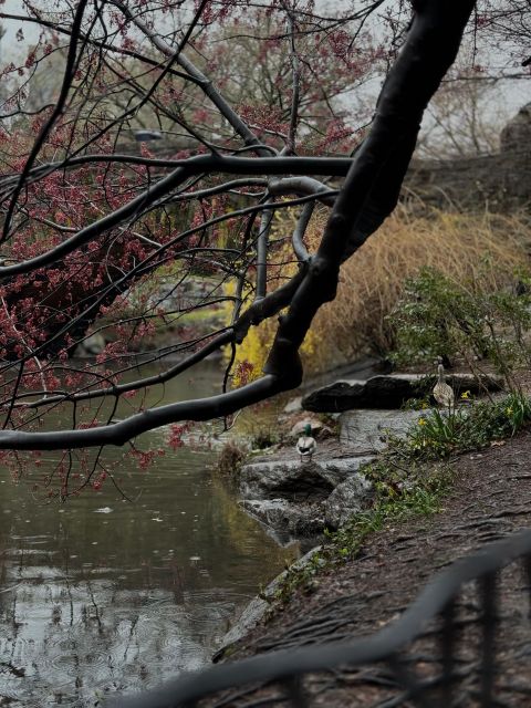 NYC Central Park Pedicab Tours - FAQ