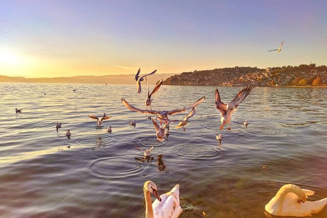 Ohrid one day trip from Pristina - FAQ