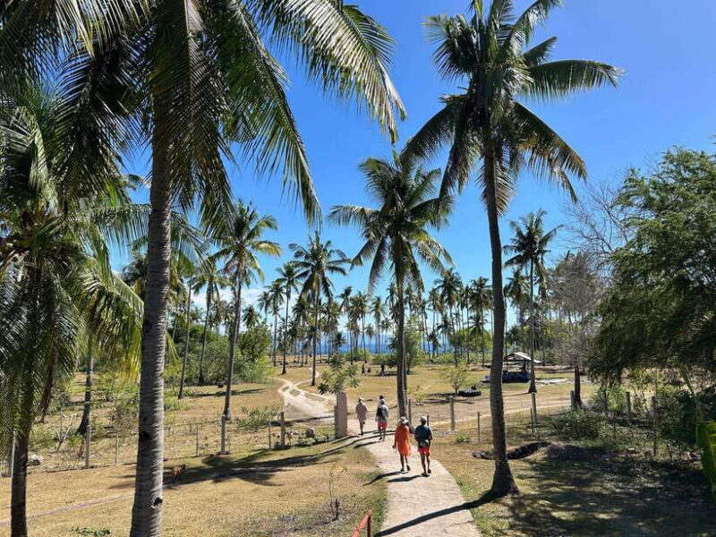 Pamilacan island: Dolphins, snorkel, lunch and walking tour - FAQ