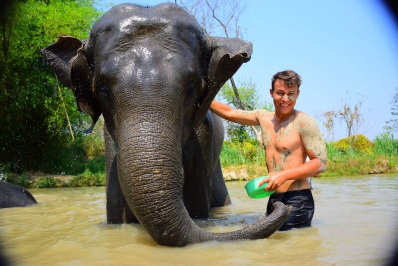Phuket: Elephant Save & Care Program Tour - Final Thoughts for Potential Travelers
