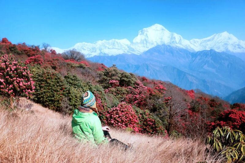 Pokhara: 5-Day Ghorepani and Poon Hill Private Trek - FAQ
