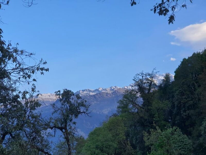 Pokhara: 5-Day Mardi Himal Base Camp Trek with Transfers - Whats Included and Whats Not