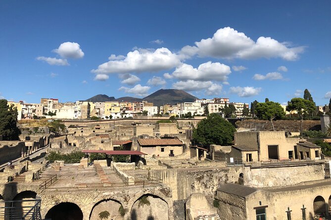 Pompeii and Herculaneum Private Tour with Pick up and Wine Tasting - FAQs
