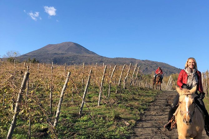 Pompeii Guided Tour & Horse Riding on Vesuvius with Lunch - Who Should Book This Tour?