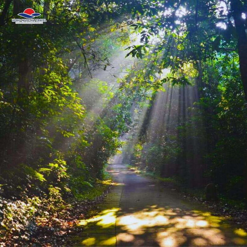Private 2-Day Cuc Phuong National Park and Van Long Tour - Why This Tour Is Worth Considering