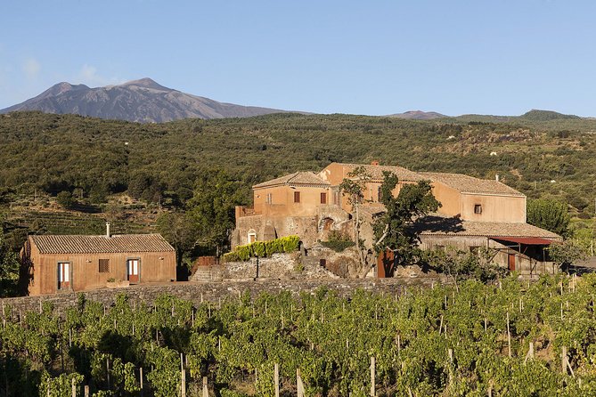 Private 7-Hour Tour of Three Etna Wineries with Tasting from Syracuse - FAQs