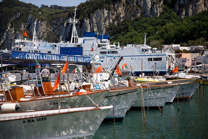 Private Capri & Positano Day Trip from Sorrento on a 28ft Boat - The Sum Up: Who Will Love This Trip?