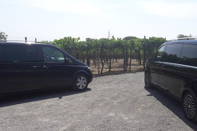 Private Day Escape: Pompeii, Sorrento and Positano from Naples - FAQ